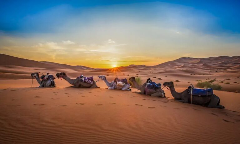 Sahara Desert Trips: Morocco Desert Tours, Travels & Packages